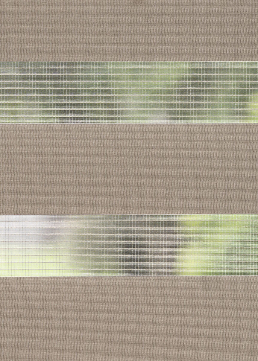 Beige Blinds Day and Night Window Blinds Quality European Blinds